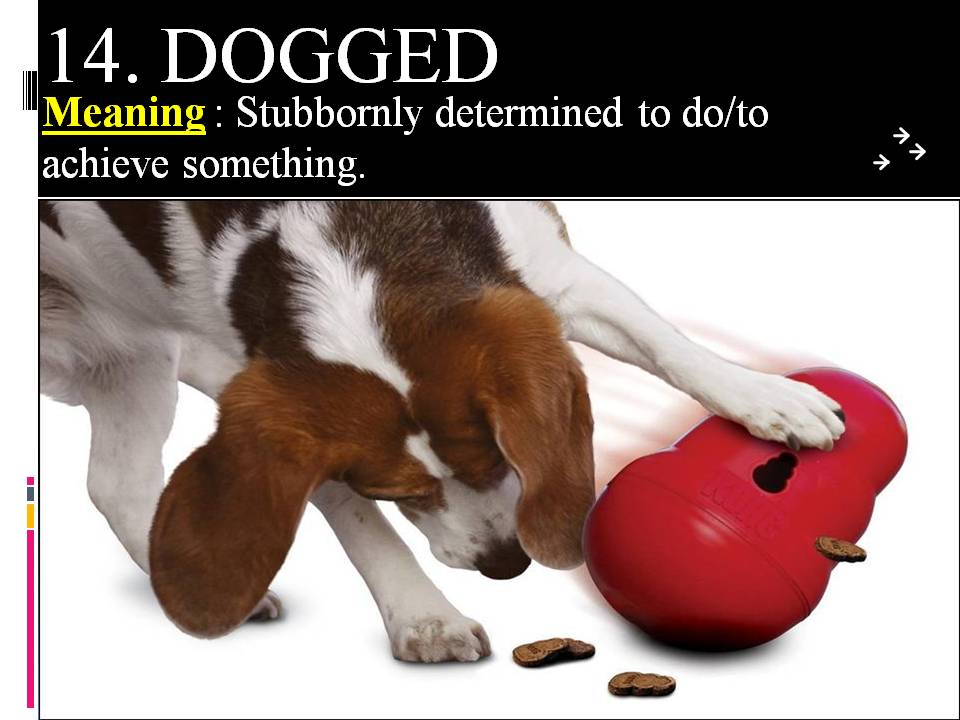 Daily Vocab For SSC Bank Exams WEEK 2 Day 4 - Prasad's Banking, SSC ...